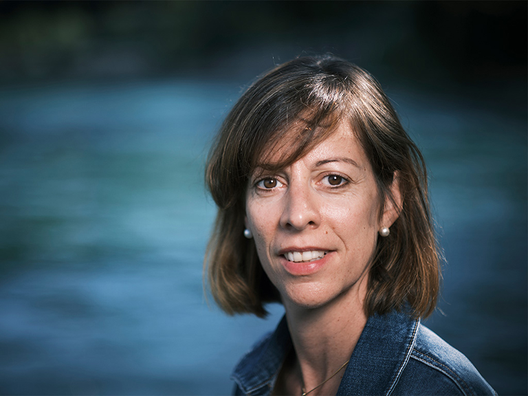 Moving slowly towards an environmental law