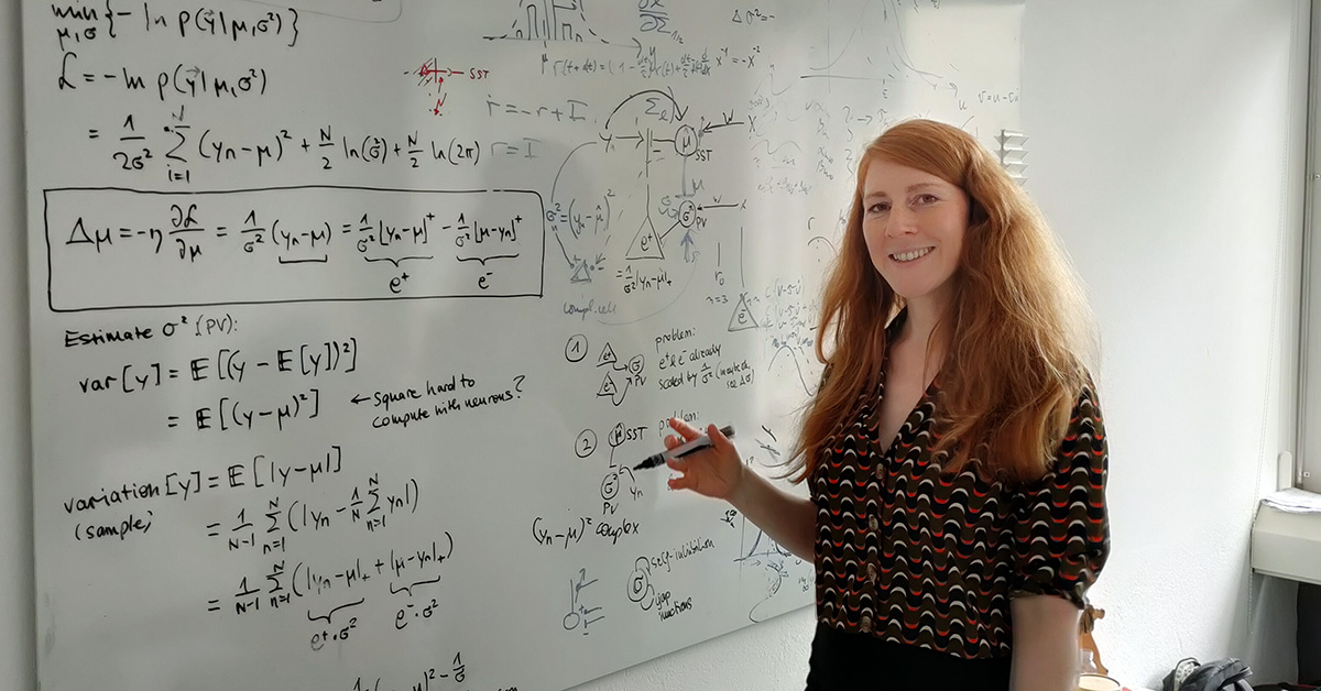 Understanding how the brain learns