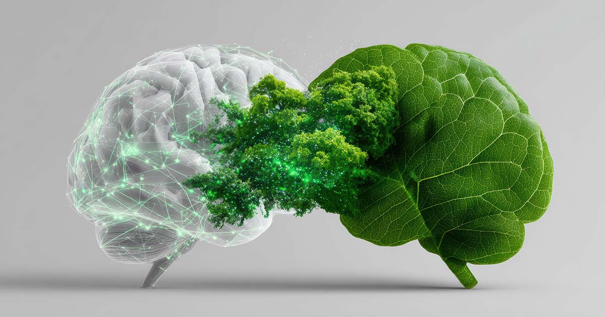 Improving our understanding of environmental behavior by examining the ...